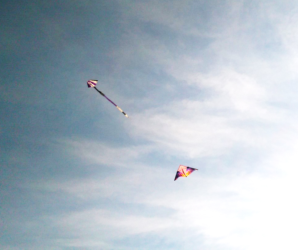 Kite Weather – Netdancer's Musings